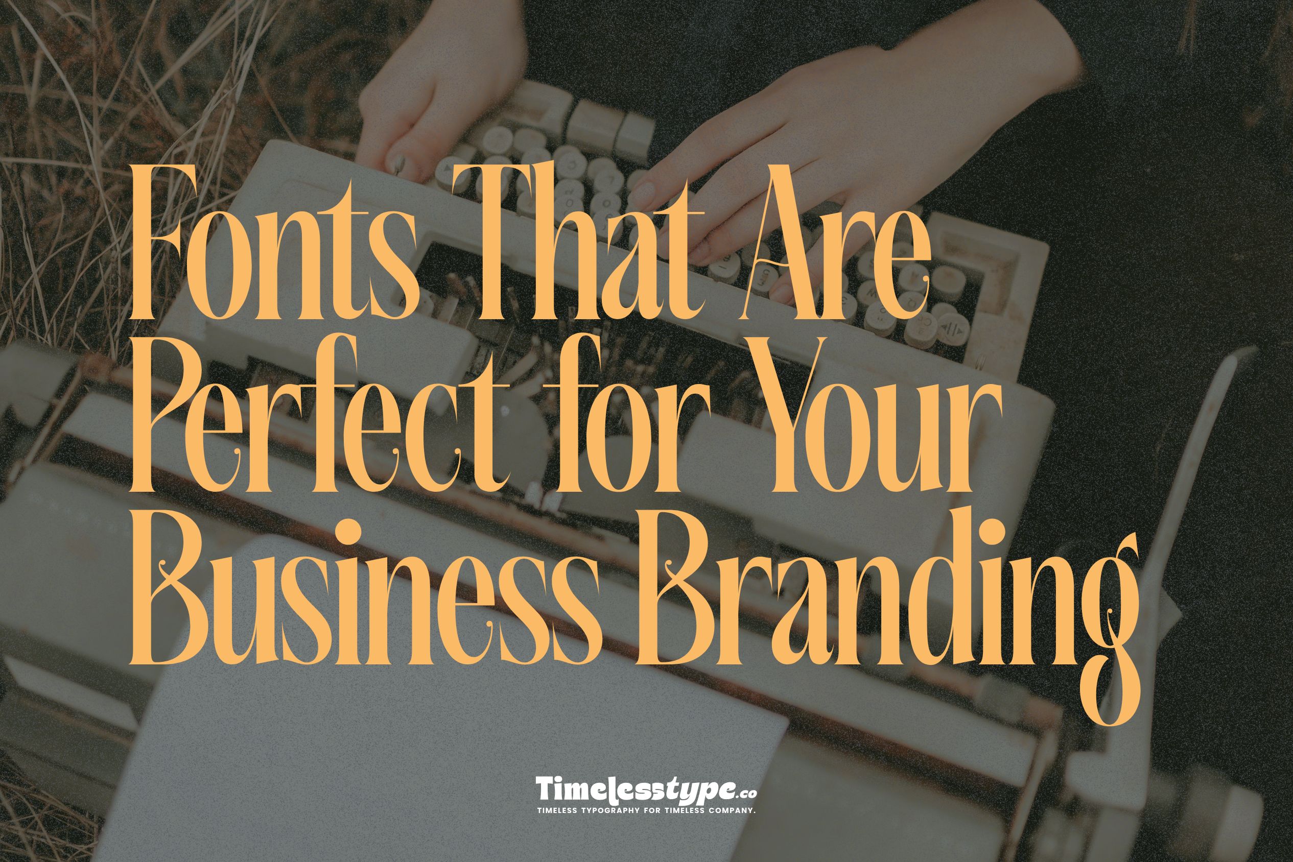 Fonts That Are Perfect for Your Business Branding | Timeless Type