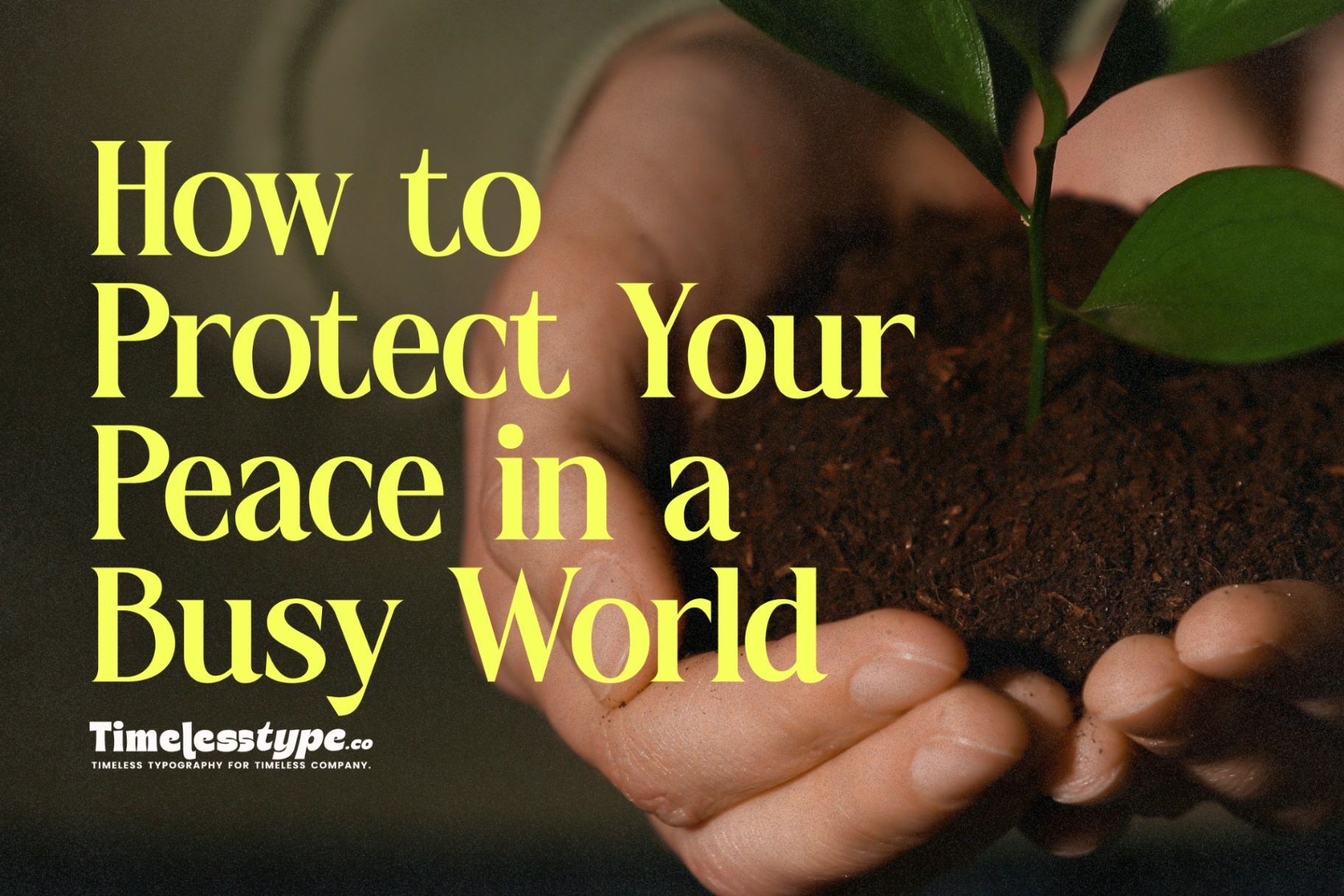 How to Protect Your Peace in a Busy World | Timeless Type
