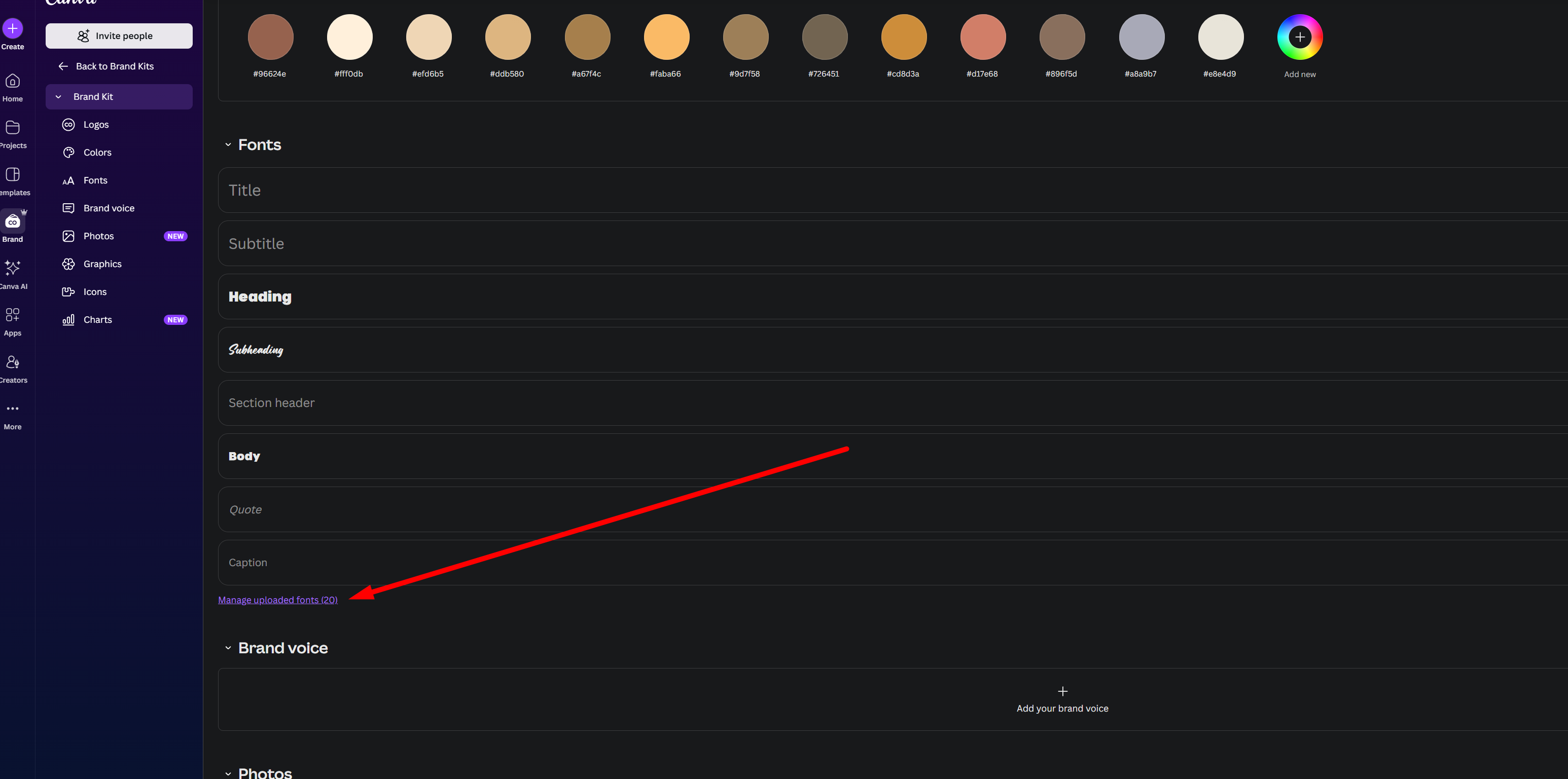 How to Use and Access Alternate Characters & Ligatures in Canva ...