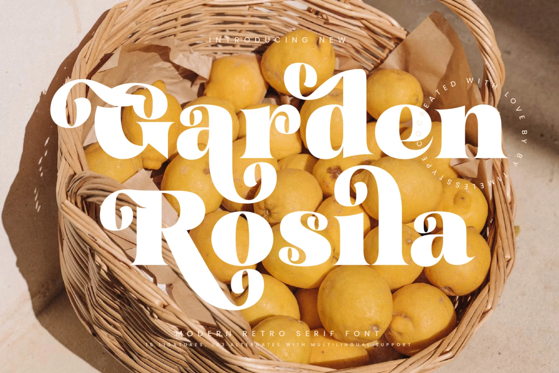 Garden Rosila - Modern Retro Serif Font Font | Timeless Type