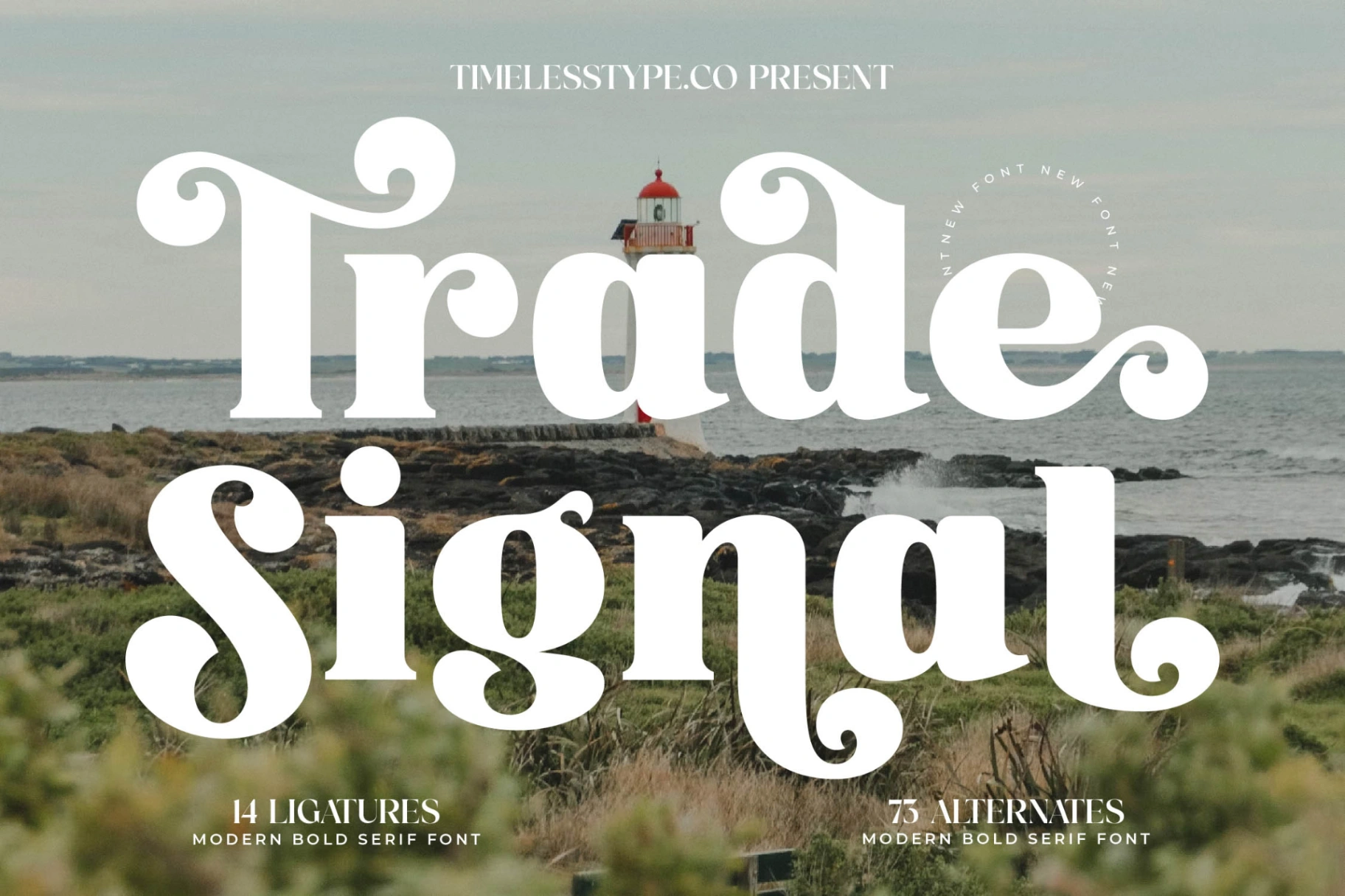 Trade Signal - Modern Bold Serif Font Font | Timeless Type
