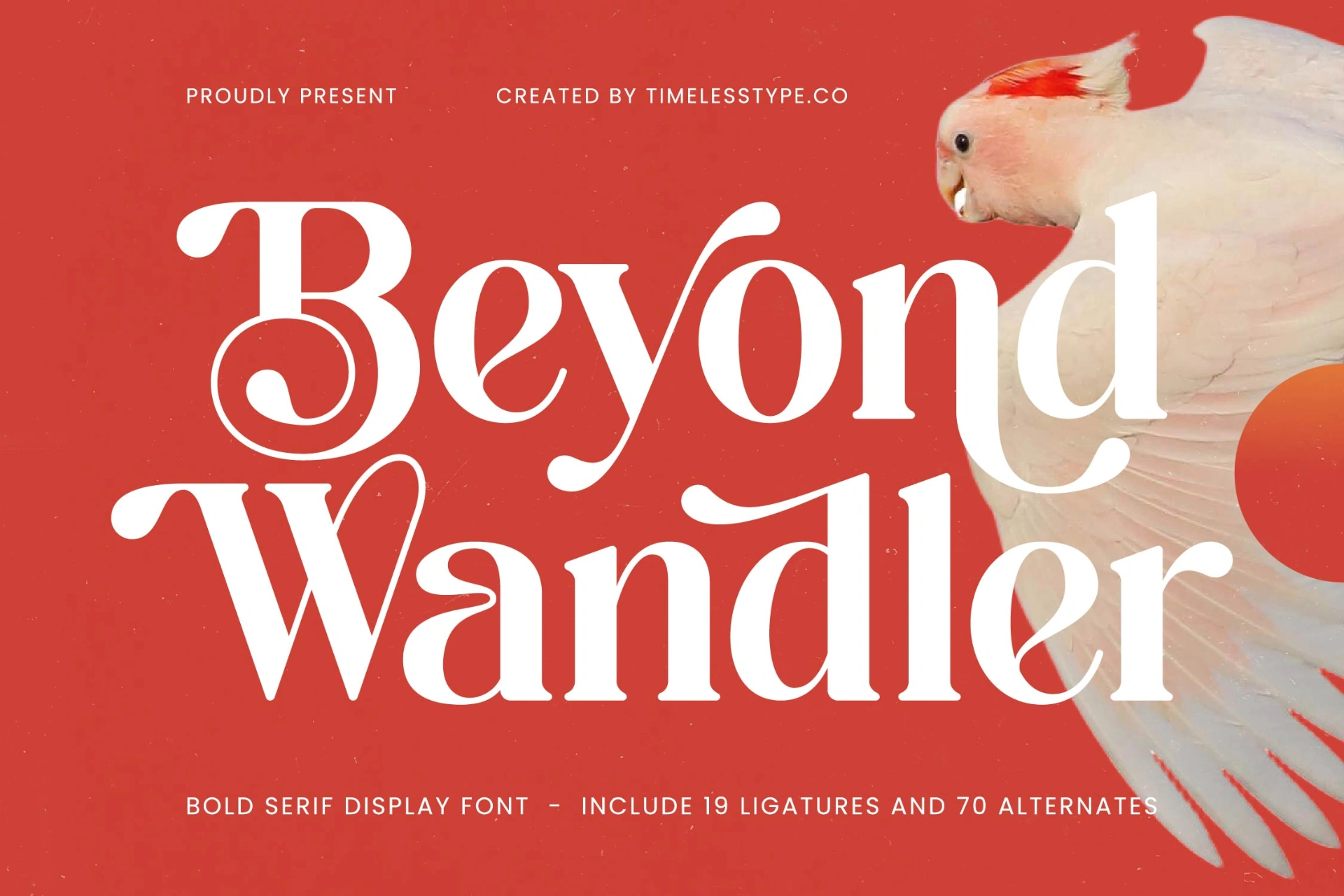 Beyond Wandler - Bold Serif Display Font Font | Timeless Type