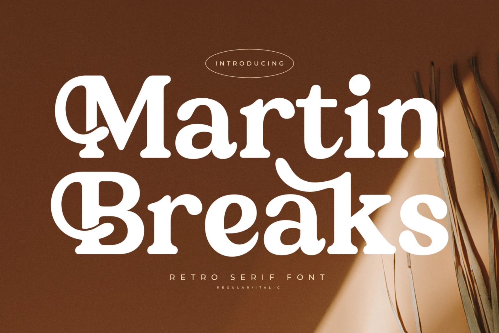 Martin Breaks – Retro Serif Font Font | Timeless Type