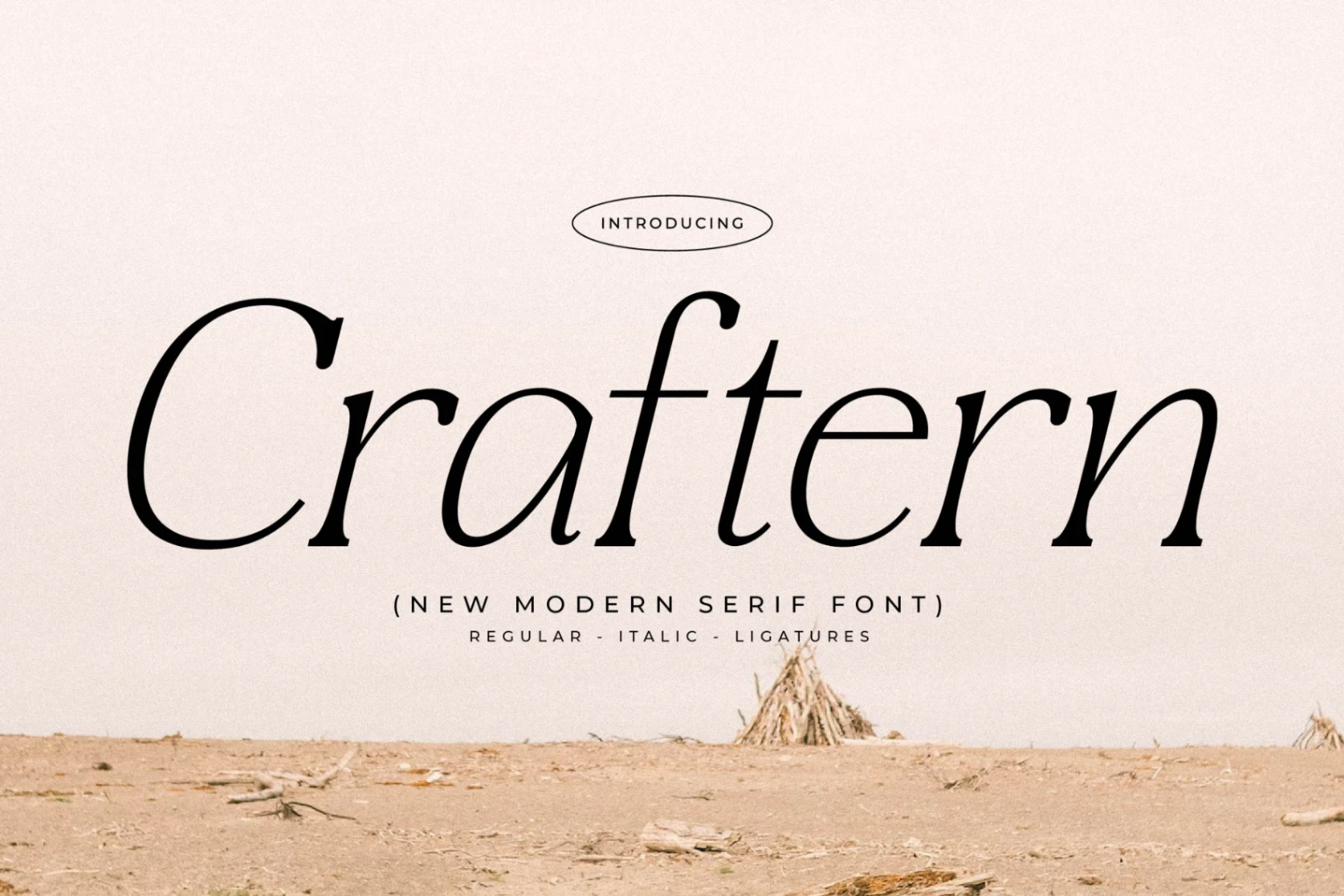 Craftern - New Modern Serif Font Font | Timeless Type